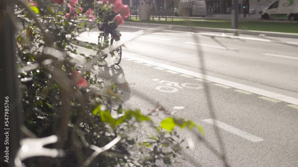 vélo, piste cyclable, bicyclette, Grenoble, roule, route, voie, rue ...