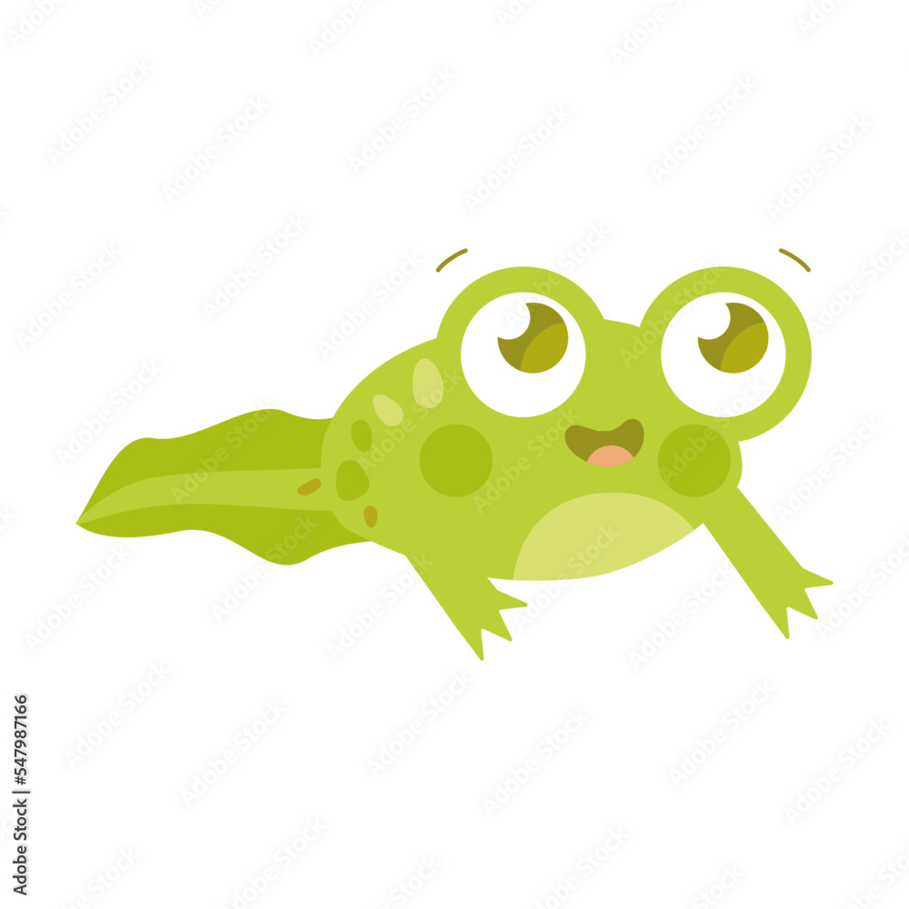 Cute happy toad transforms from a tadpole into an adult frog flat ...