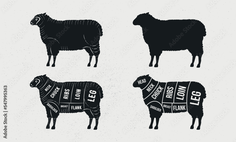 Sheep set. Sheep silhouette. Mutton - butcher diagram template. Cuts of ...
