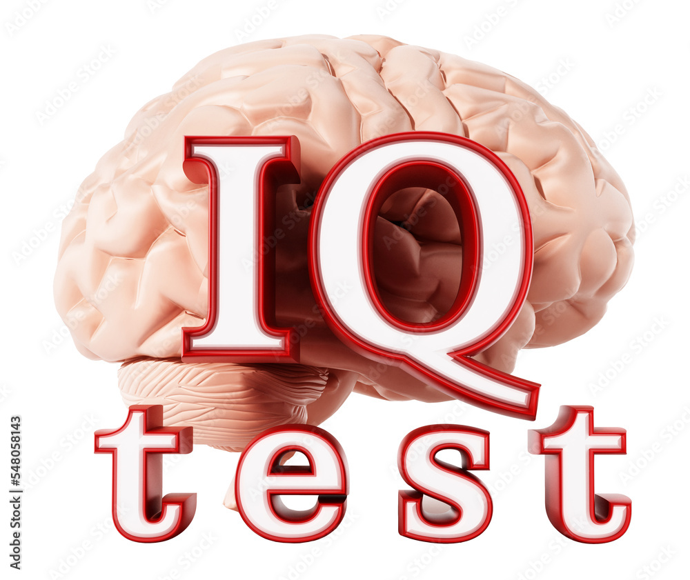 Human brain and IQ test text on transparent background. Stock ...