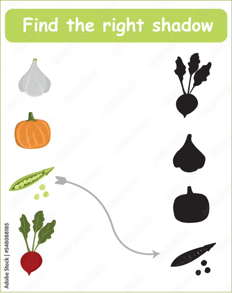 find the right shadow. Educational game for children. Find the right ...