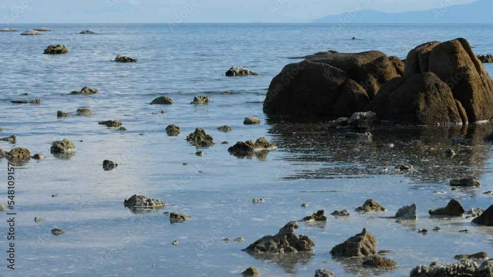 Stockvideon Coral reef builders inhabit tropical oceans and secrete ...