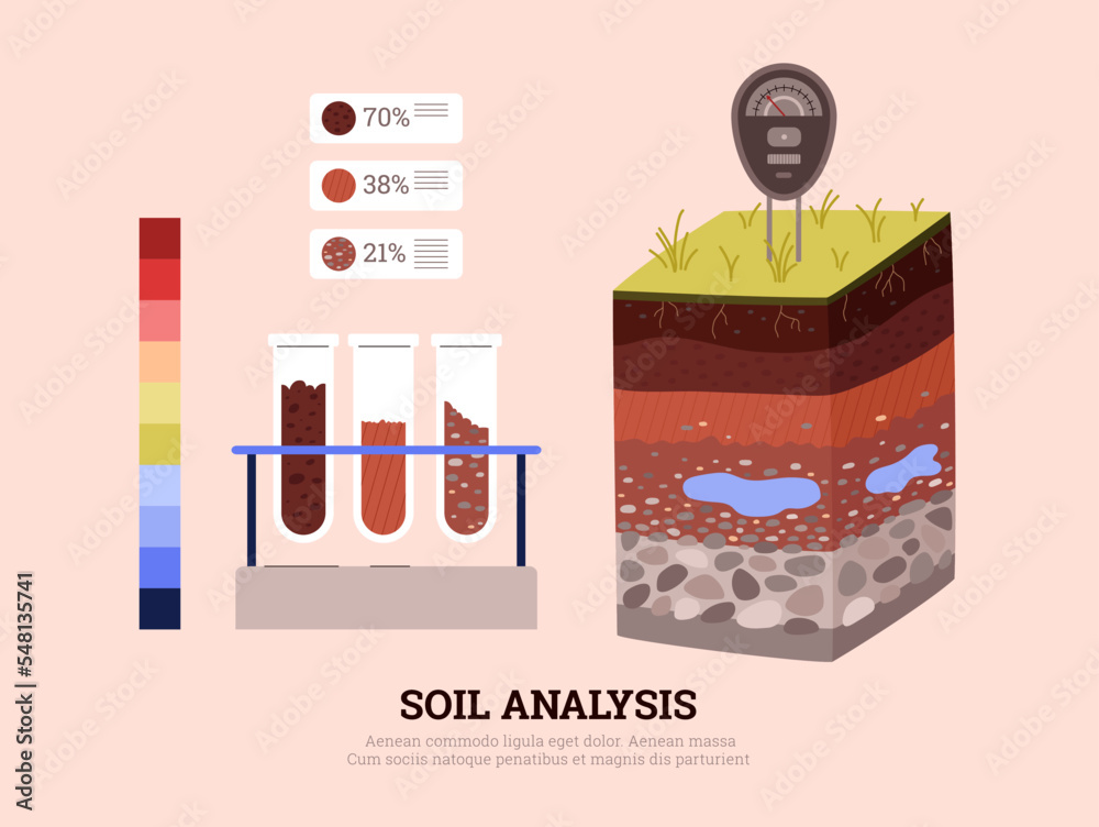 Soil analysis infographic showing section of fertile soil layers, flat ...