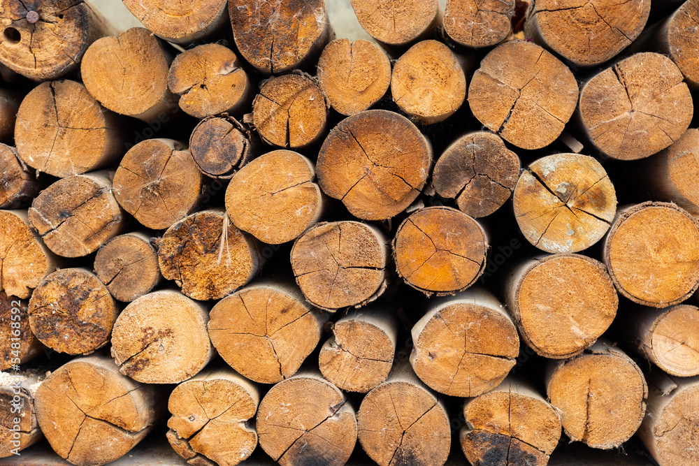 Front view of many and stacked lumber wood shows beautiful texture and ...
