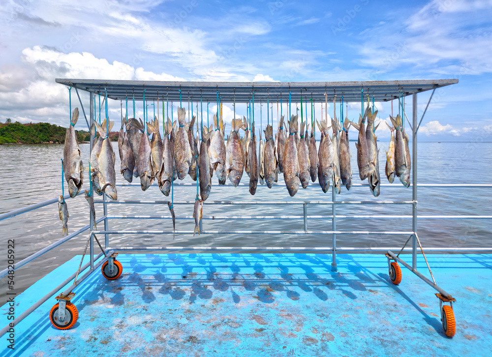 Dry salted fish hanging below the rack. Preservation of food. Sea ...