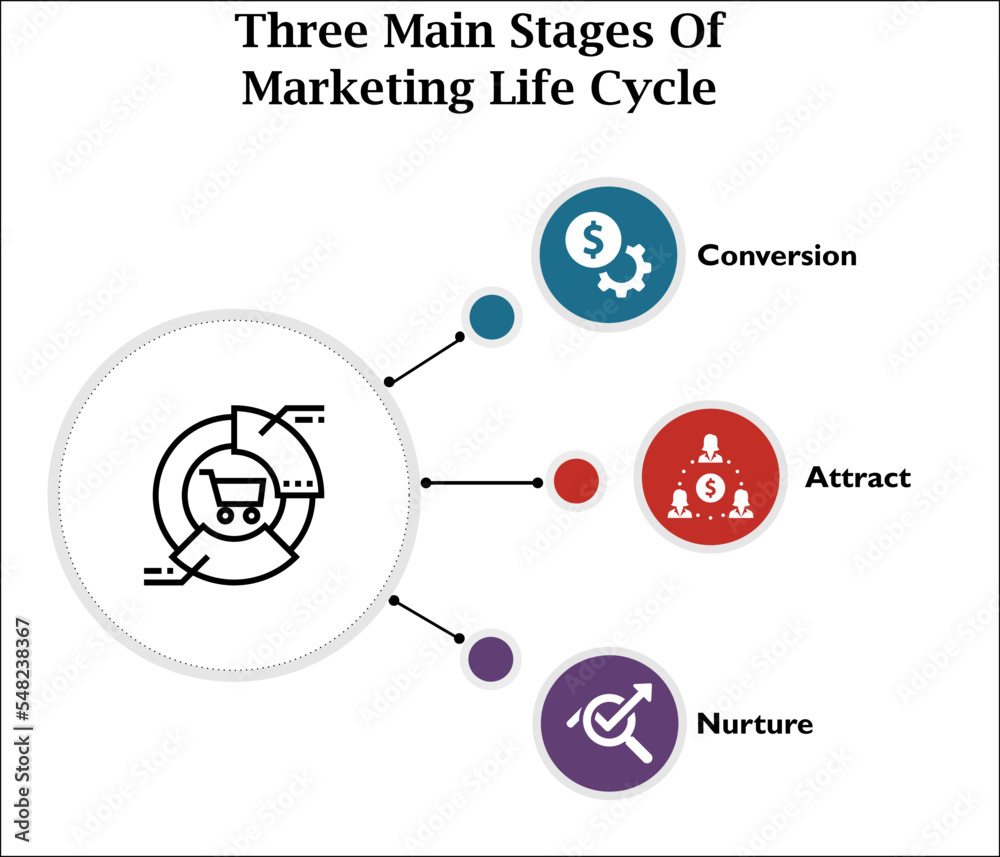 Three main stages of the Marketing Life Cycle with Icons in an ...