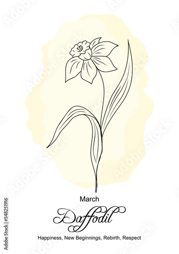 March Flower Of The Month Daffodil