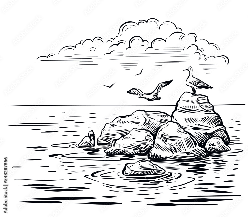 Sea sketch with rocks, seagulls, and clouds. Seascape vector scene ...