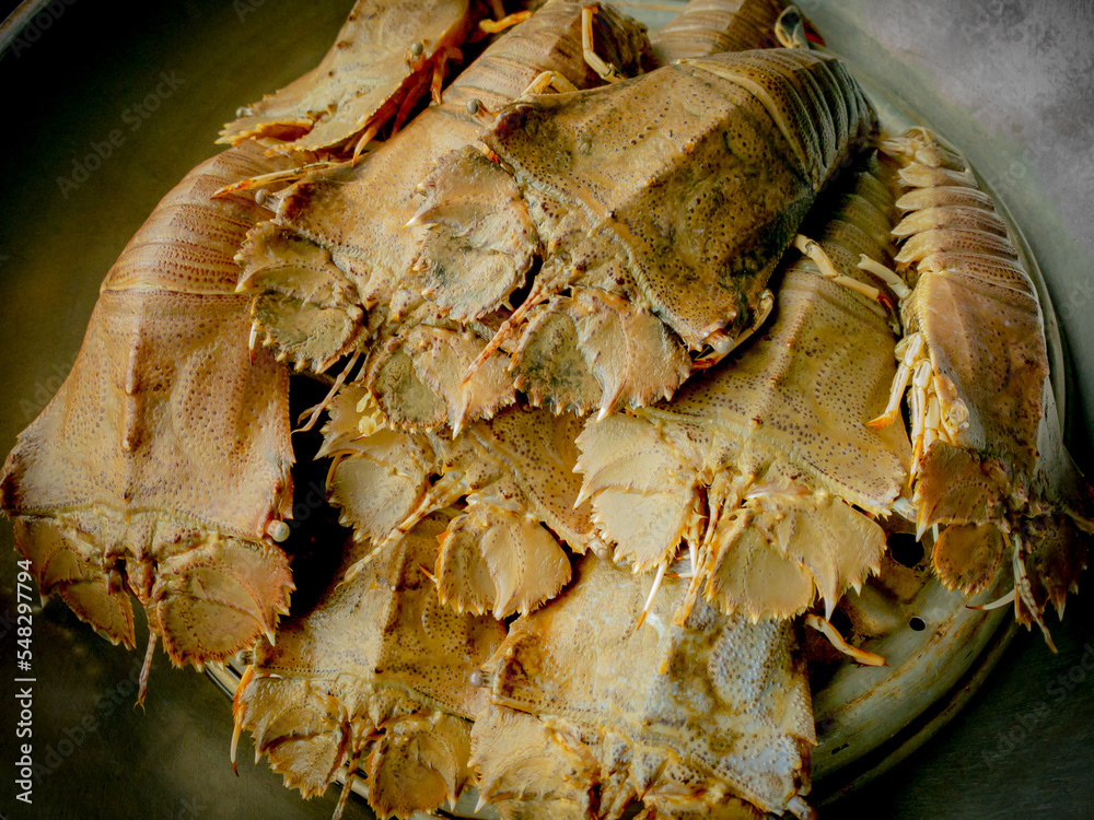 Flathead lobster, thenus orientalis, oriental flathead lobster ...