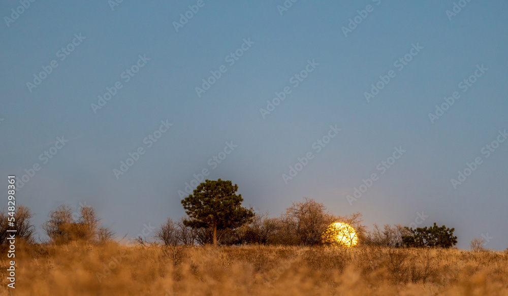 Moonrise above the prairie in Colorado. The moon entering the full moon ...
