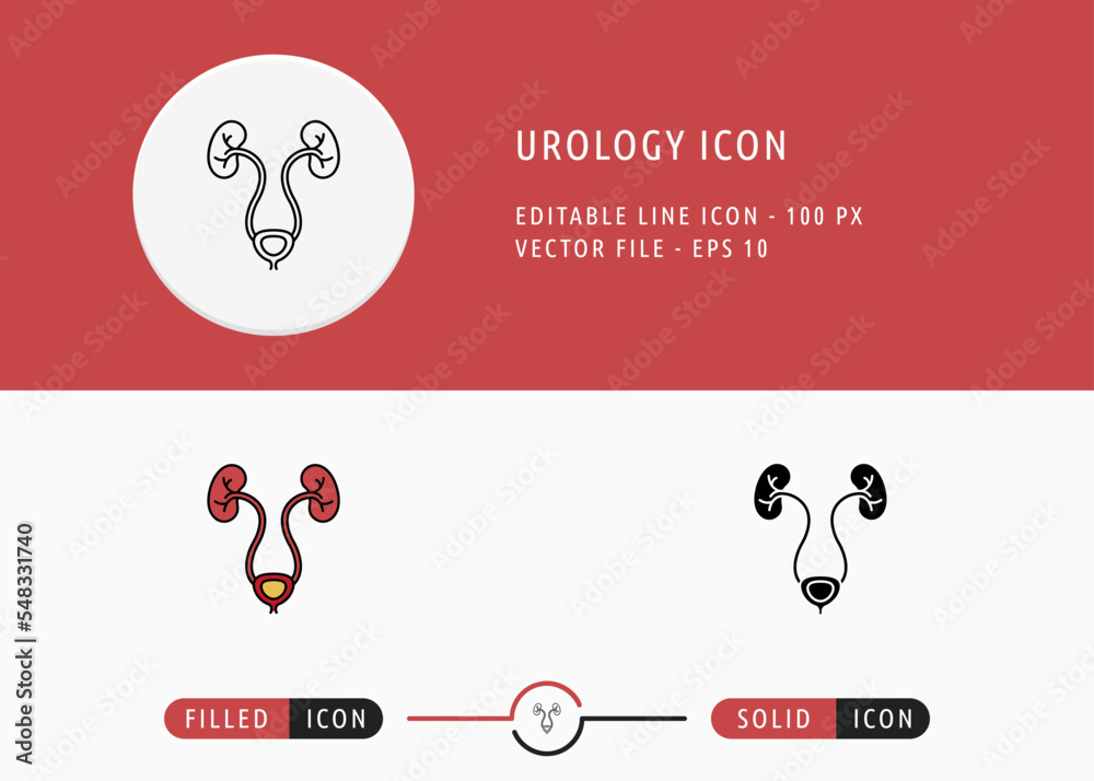 Urology icon vector illustration. Urinary System symbol on isolated ...