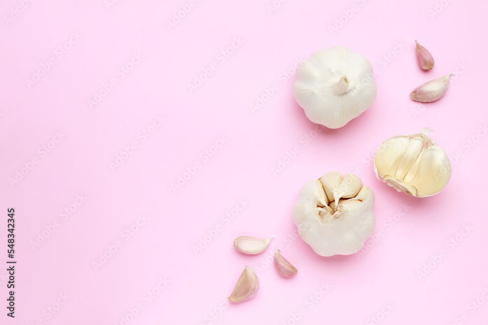 Fresh white unpeeled head bulb of garlic and garlic cloves on pink ...
