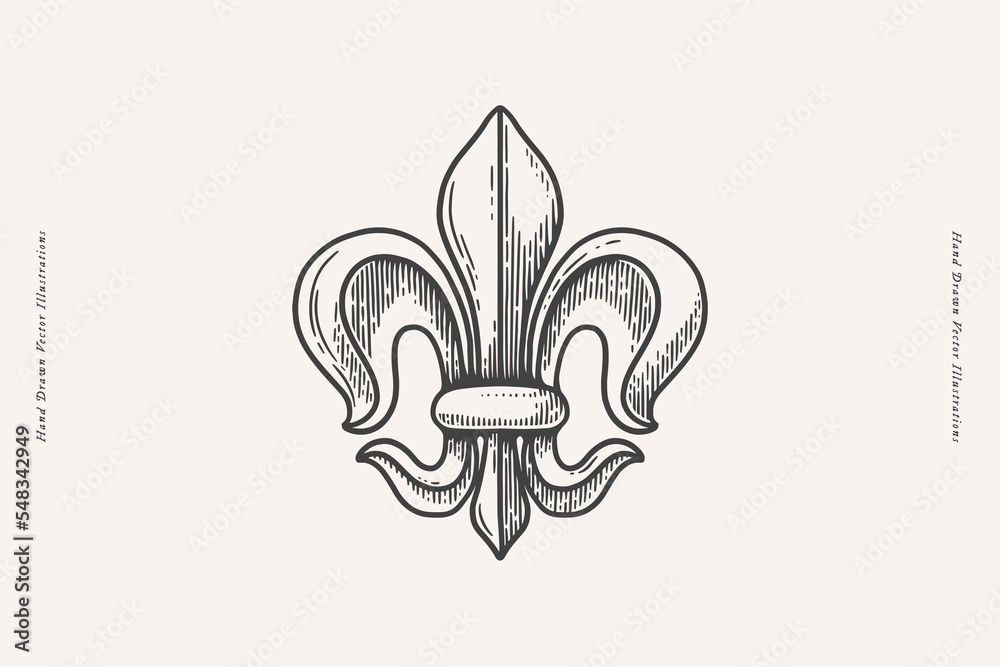 Royal lily flower in engraving style. Fleur de lis on a light isolated ...