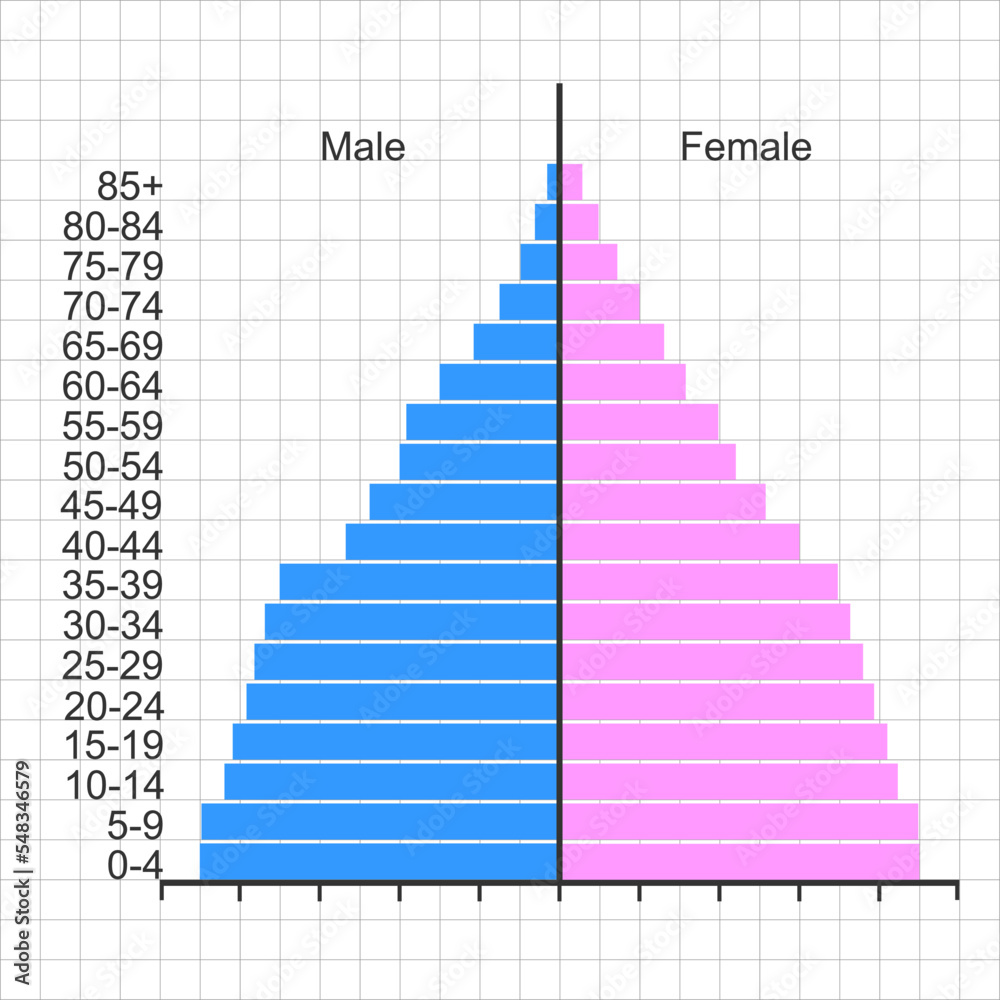 Age structure diagram template. Population pyramid isolated on white ...