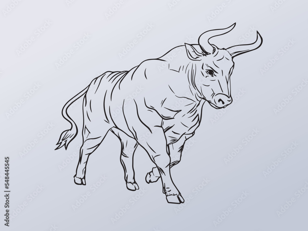 Black linear paint draw bull. Astrological Taurus zodiac sign ...