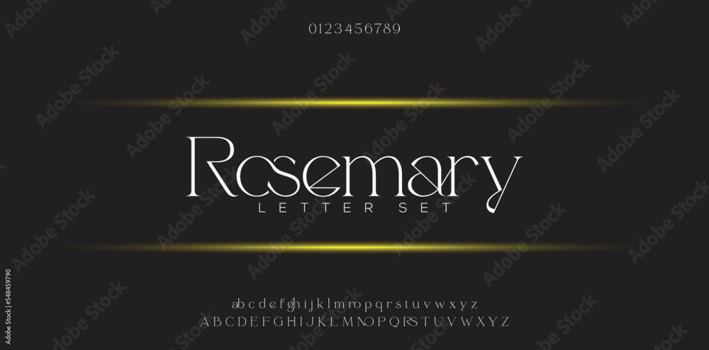 ROSEMARY Luxury letter fonts and alphabet set. Modern tech typeface ...