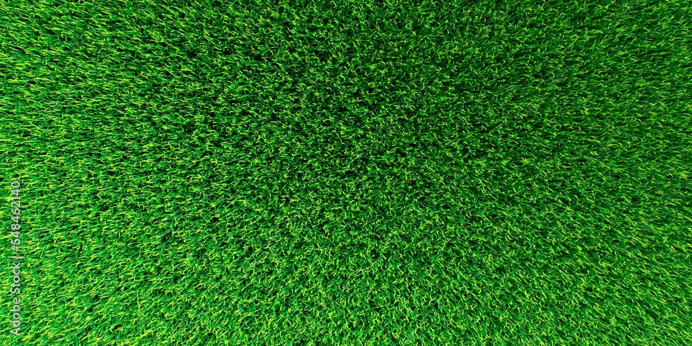 green grass background wallpaper background backdrop 3d render ...