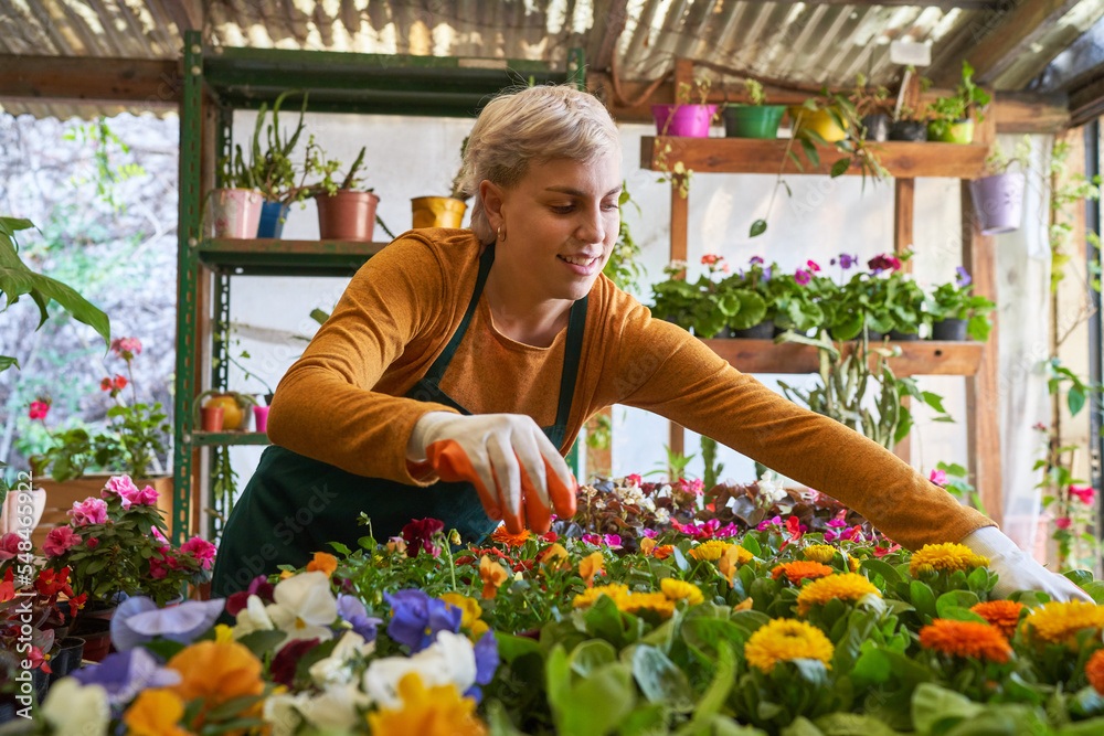 Young florist or gardener caring for plants Stock Photo | Adobe Stock