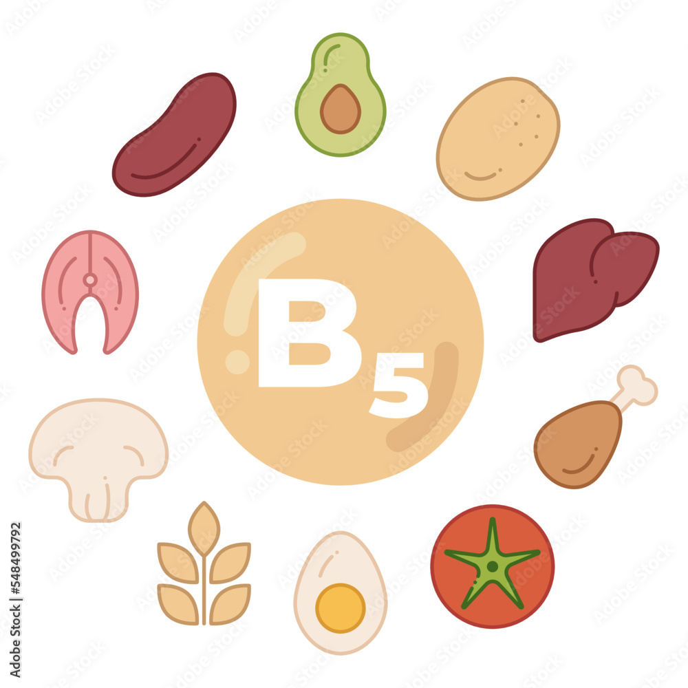 Foods rich in vitamin B5. Poster vitamin B5 in the center with food ...