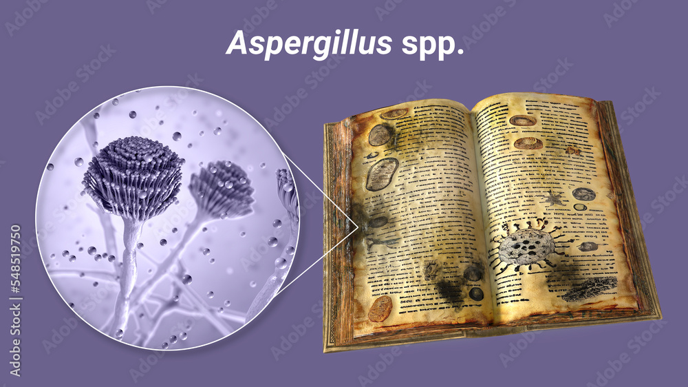 Mold in old books, conceptual 3D illustration. Open antique book with ...