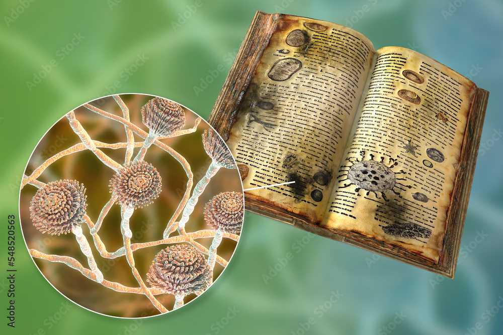 Mold in old books, conceptual 3D illustration. Open antique book with ...
