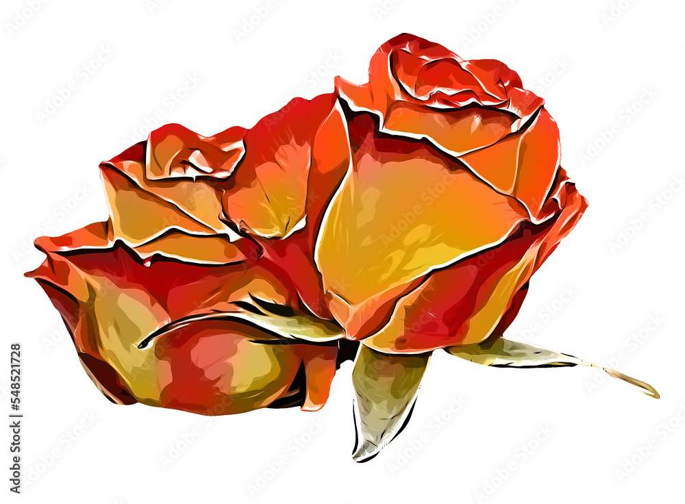 flowers drawing transparent background Stock Illustration | Adobe Stock