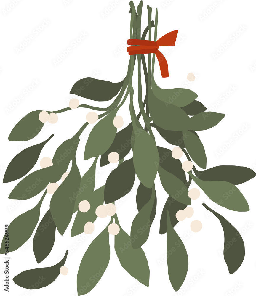 Christmas mistletoe bouquet flower botanical clipart illustration in ...