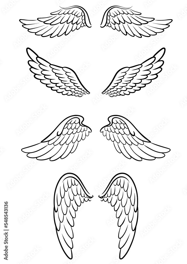 Angel bird wings outline black and white line art vector SVG Stock ...