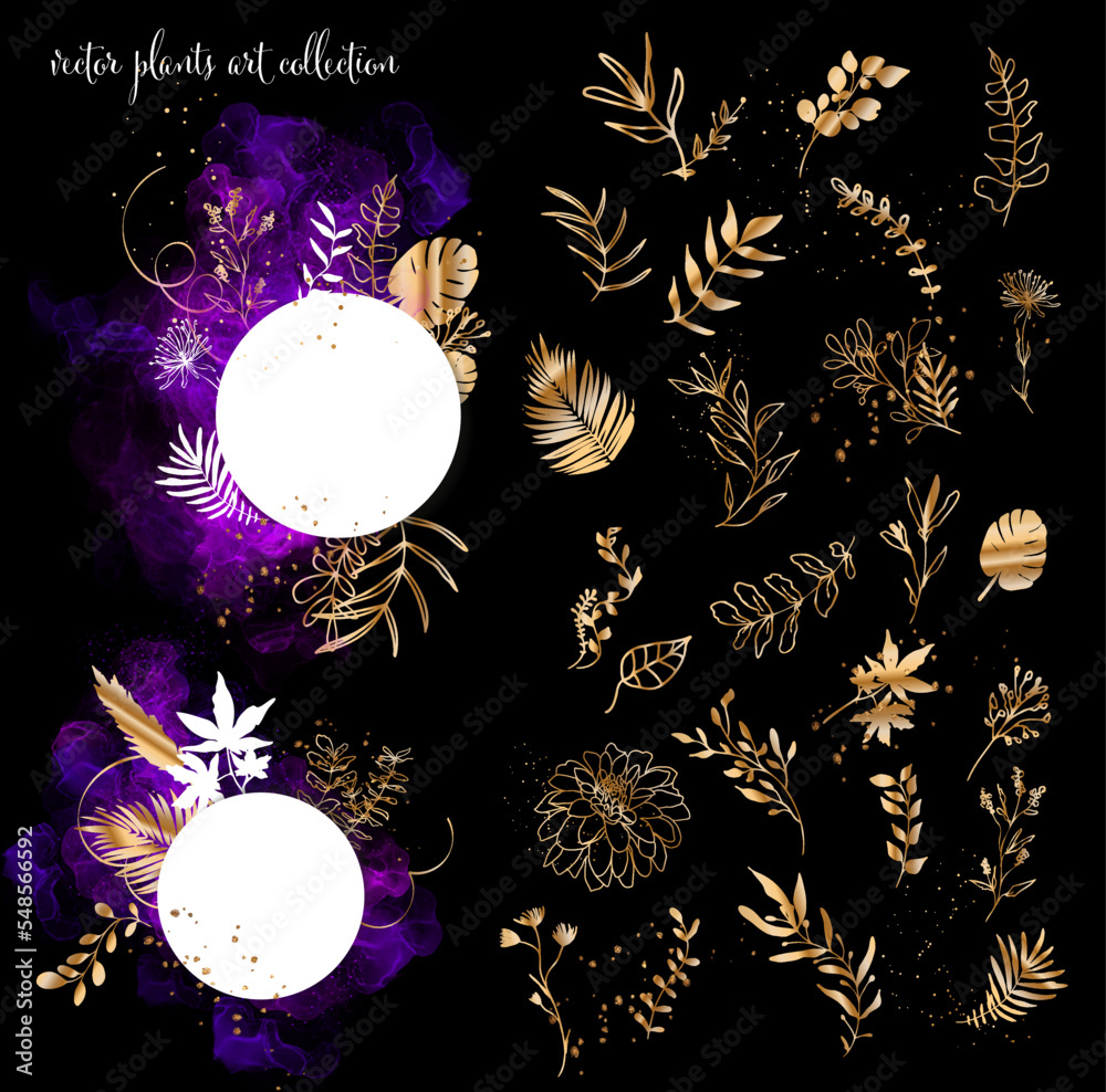 Vector plants art collection - universally usable. Botanical and trendy ...