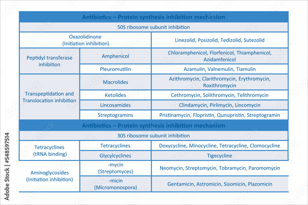 Table showing classification of Protein synthesis inhibition ...