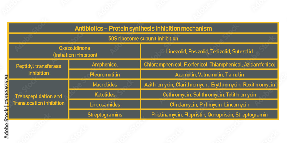 Vecteur Stock Table showing classification of 50S ribosome subuinit ...