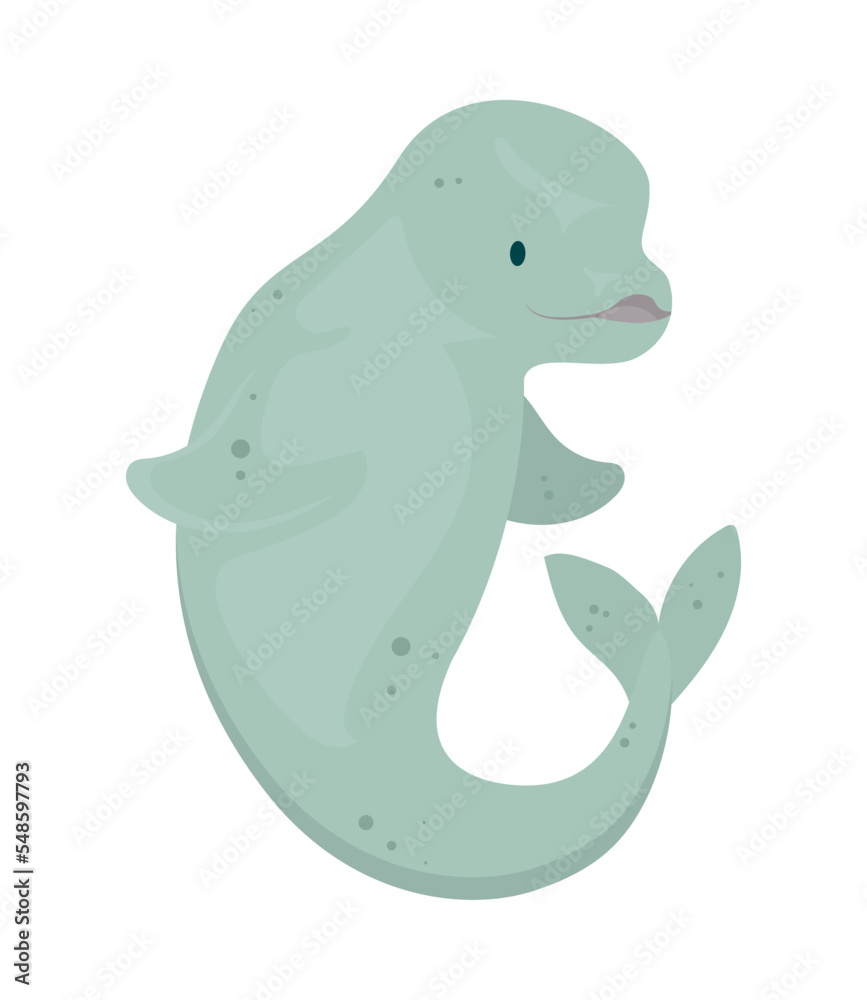 cartoon beluga whale Stock Vector | Adobe Stock