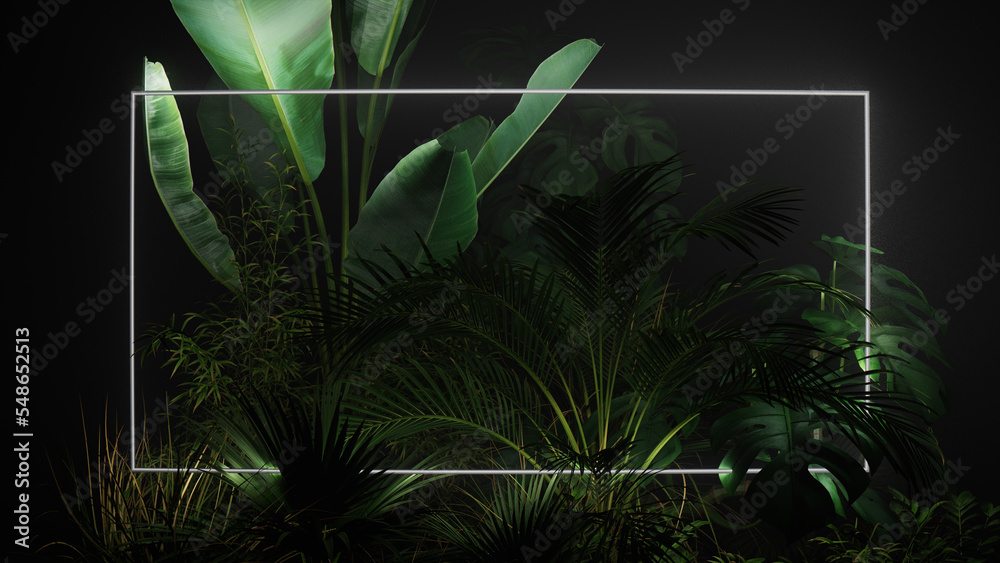 Cyber Background Design. Tropical Plants with White, Rectangle shaped ...