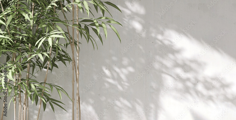 Healthy and beautiful tropical bamboo tree in dappled sunlight on blank ...