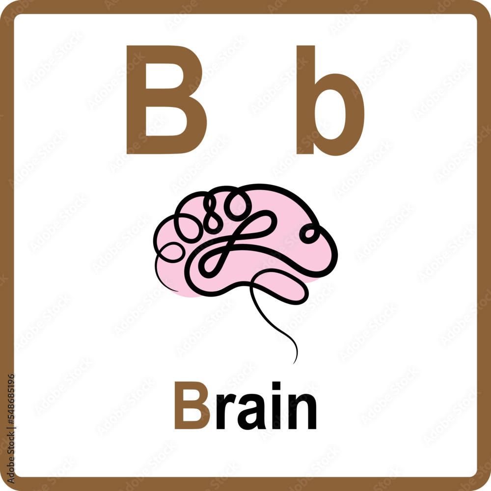 Alphabet B is for Brain vector image. alphabet flash card. Stock Vector ...
