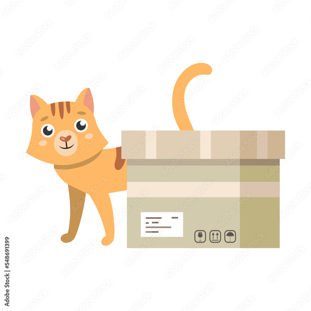 Cat with box, preposition behind, cartoon illustration. Visual ...