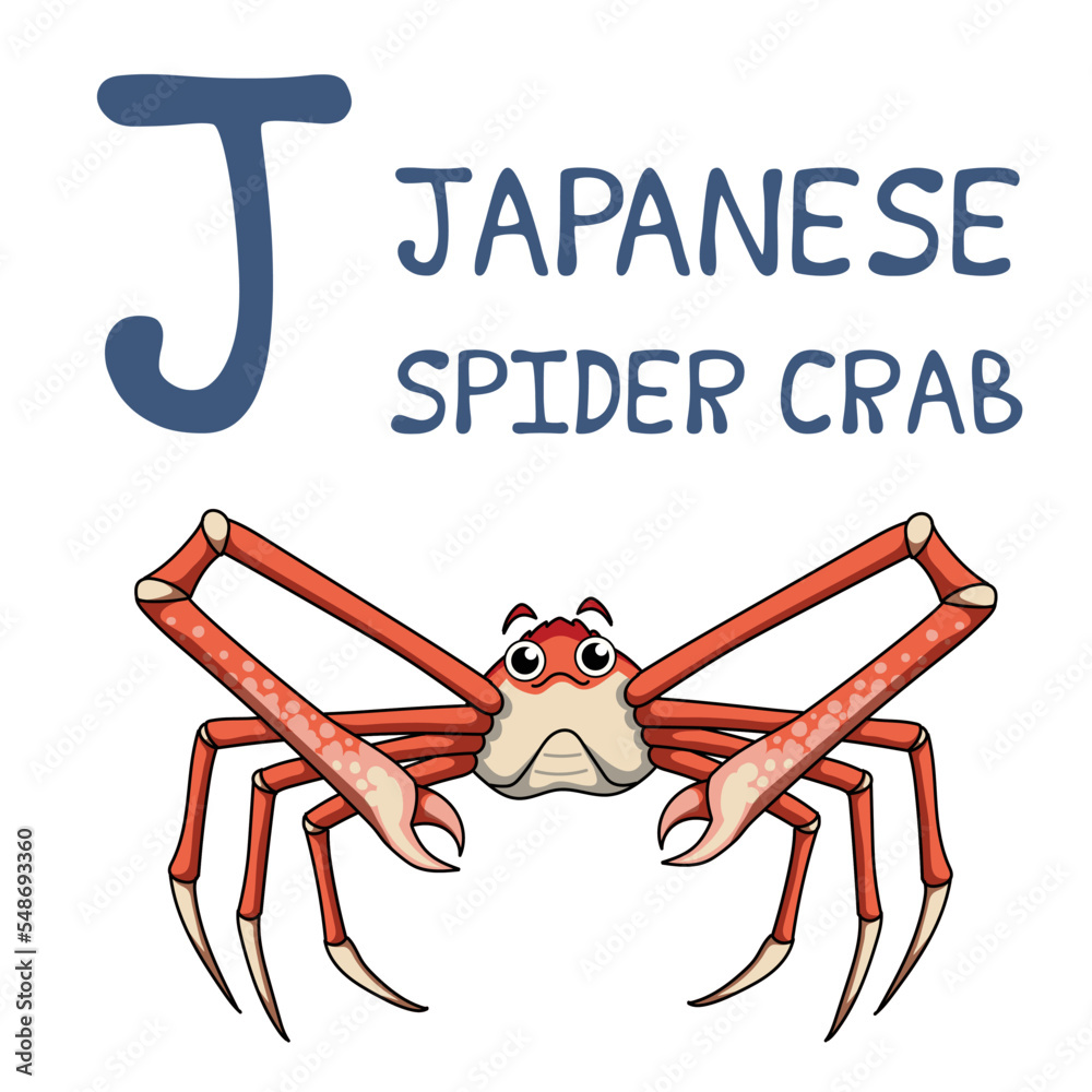 Cute Sea Animal Alphabet Series. J is for Japanese spider crab. Vector ...