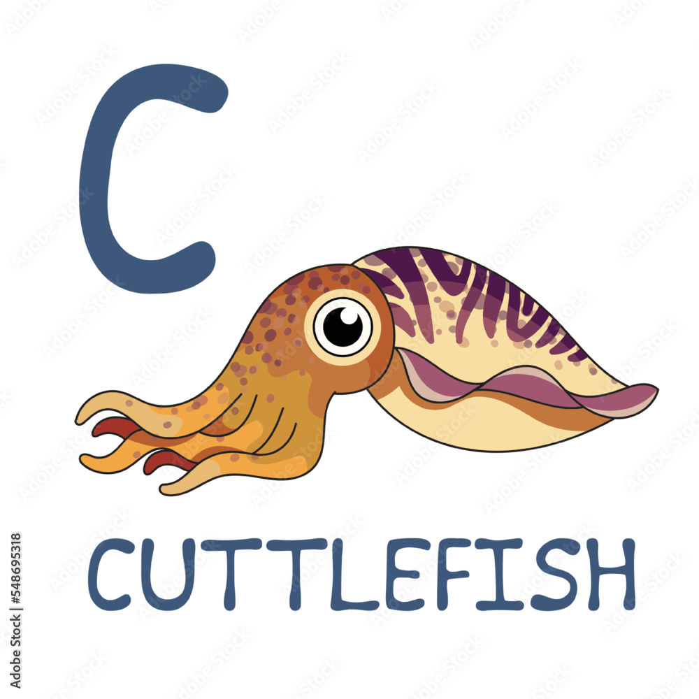 Cute Sea Animal Alphabet Series. C is for cuttlefish. Vector cartoon ...