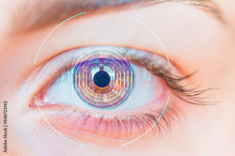 Eye scanning and recognition - biometric identity concept Stock Photo ...
