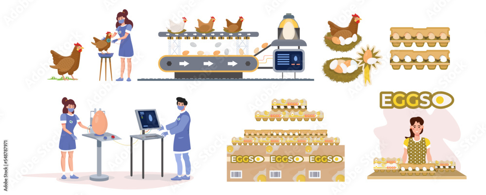 Egg production process. Set, collection. Infographic. Industrial ...