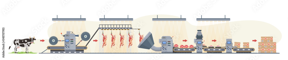 Beef production infographic. Meat production process. Industrial line ...