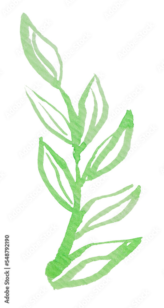 Watercolor green herb hand painted, PNG clipart isolated on transparent ...