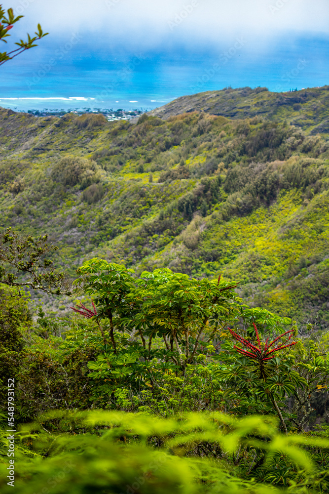 landscape of the island of oahu in hawaii as seen from the kuliouou ...
