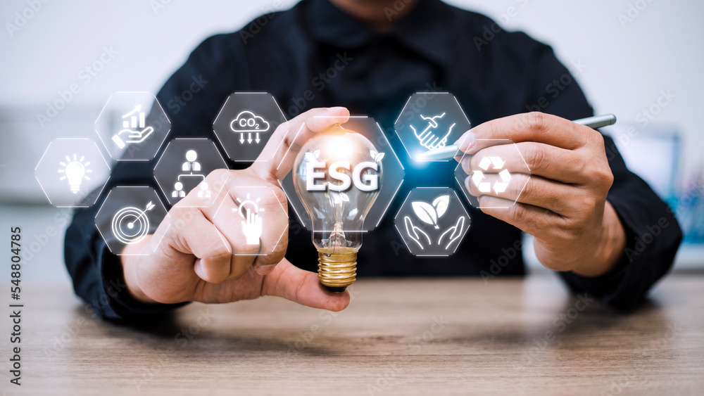 Businessman hand holding light bulb with esg icon on virtual screen ...