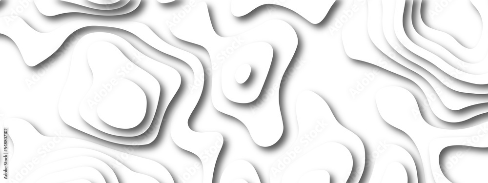 Vector abstract white paper cut banner. Modern White wavy vector ...