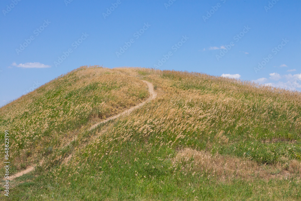 Ancient kurgan in the Ukrainian steppe on the territory of the national ...