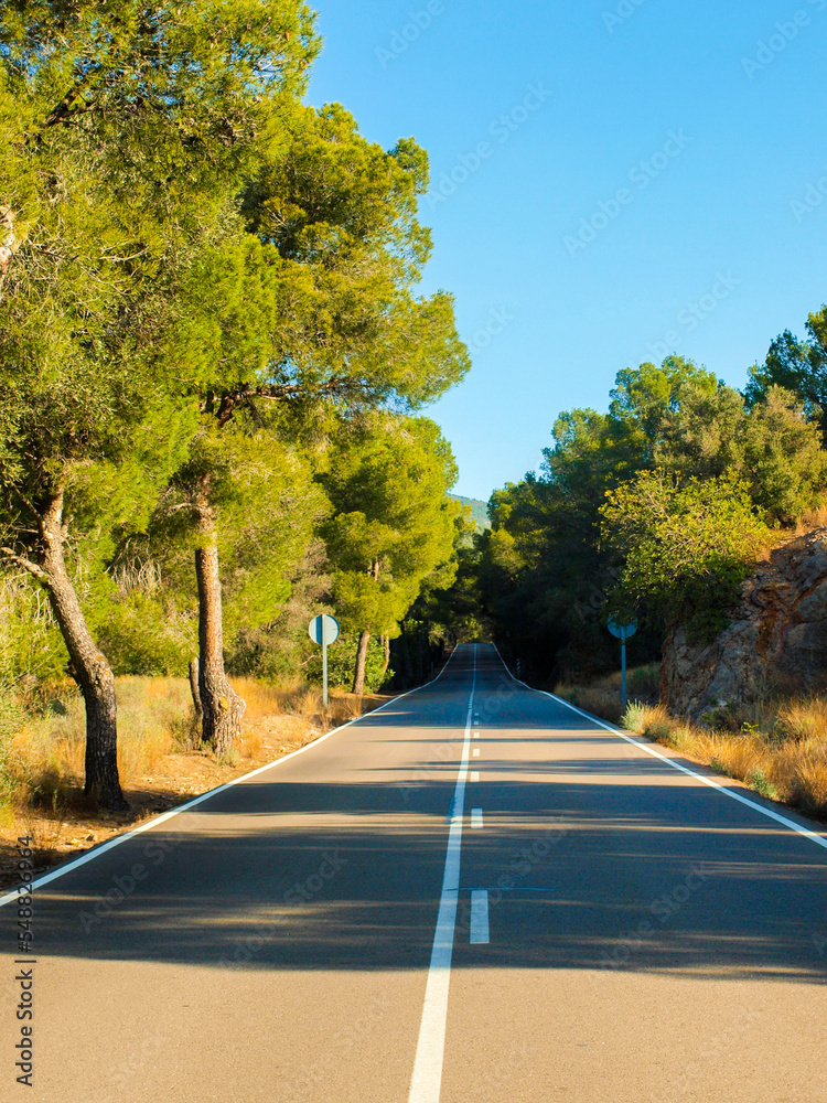 Recta de carretera en medio de arboles Stock Photo | Adobe Stock