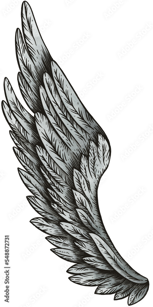 Vintage hand drawn sketch of an angel wing, transparent png ...