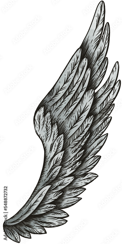 hand drawn sketch of a wing, transparent png illustration Stock ...