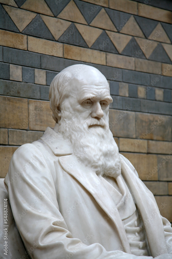 London, UK - Statue of Charles Darwin in the main hall of the Museum of ...